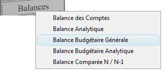 Balance budgétaire générale